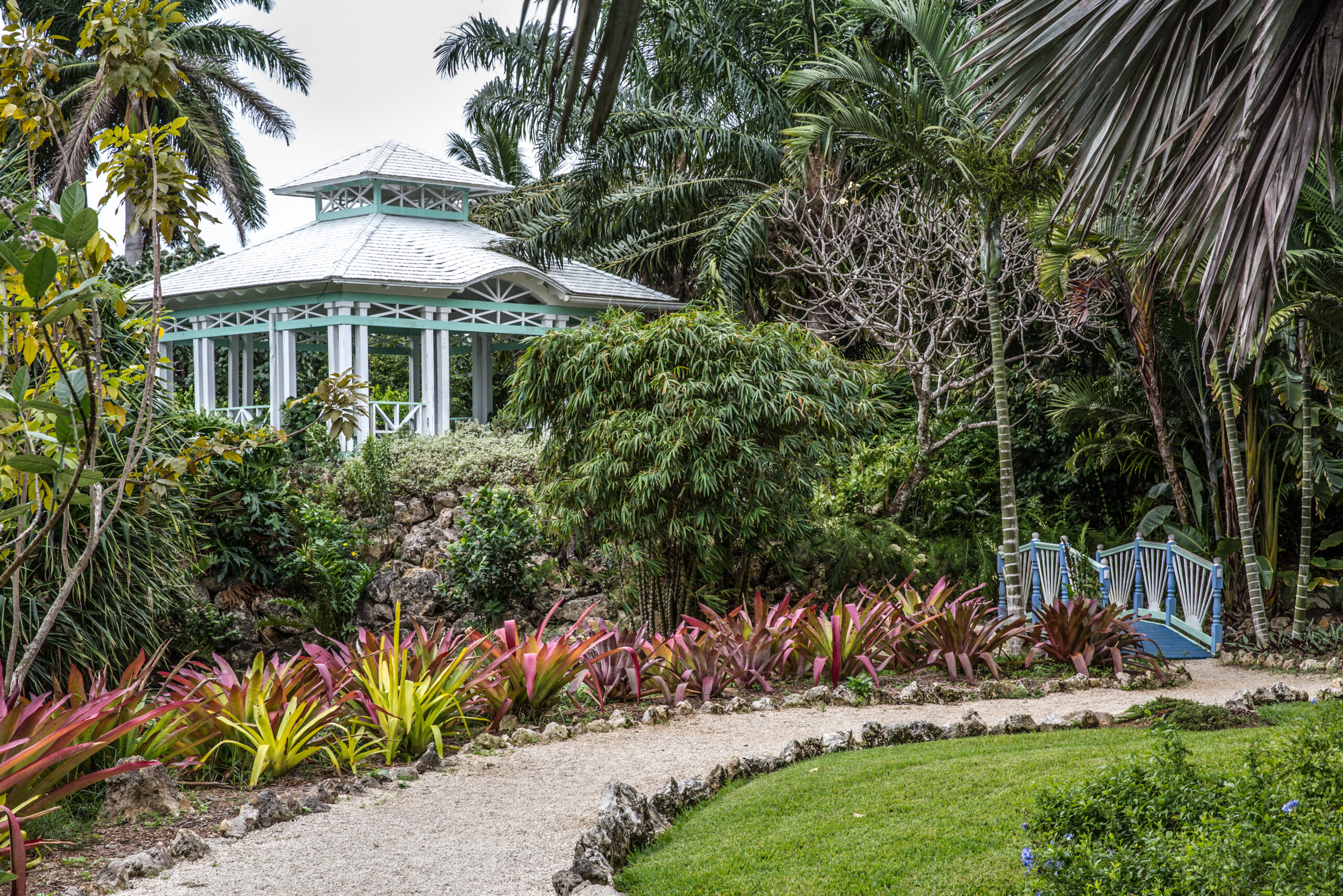 Queen Elizabeth II Botanic Park - Welcome To Cayman