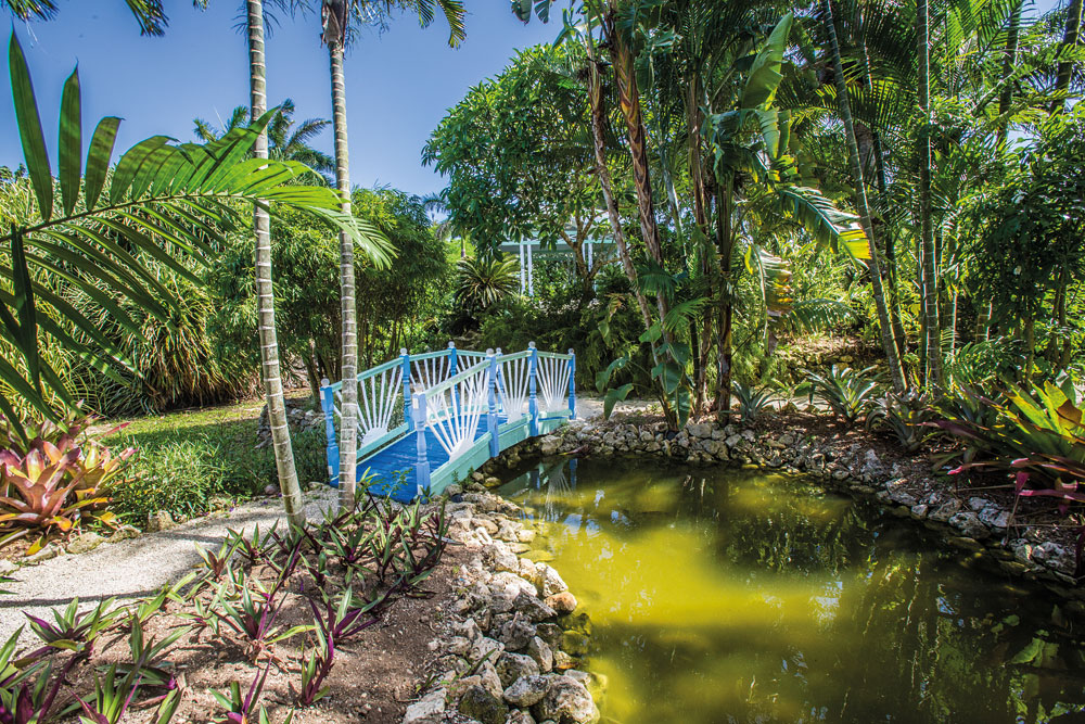 Botanic Park shows beauty of the island - Welcome To Cayman
