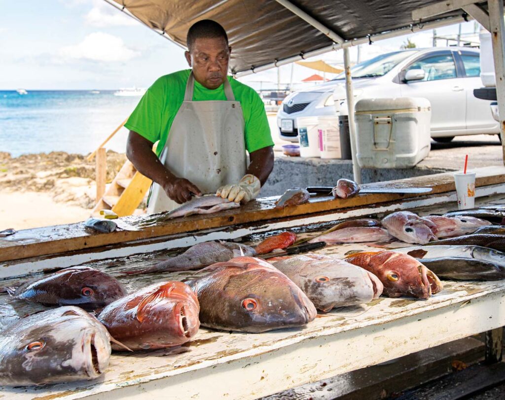 Catch of the day - Welcome To Cayman