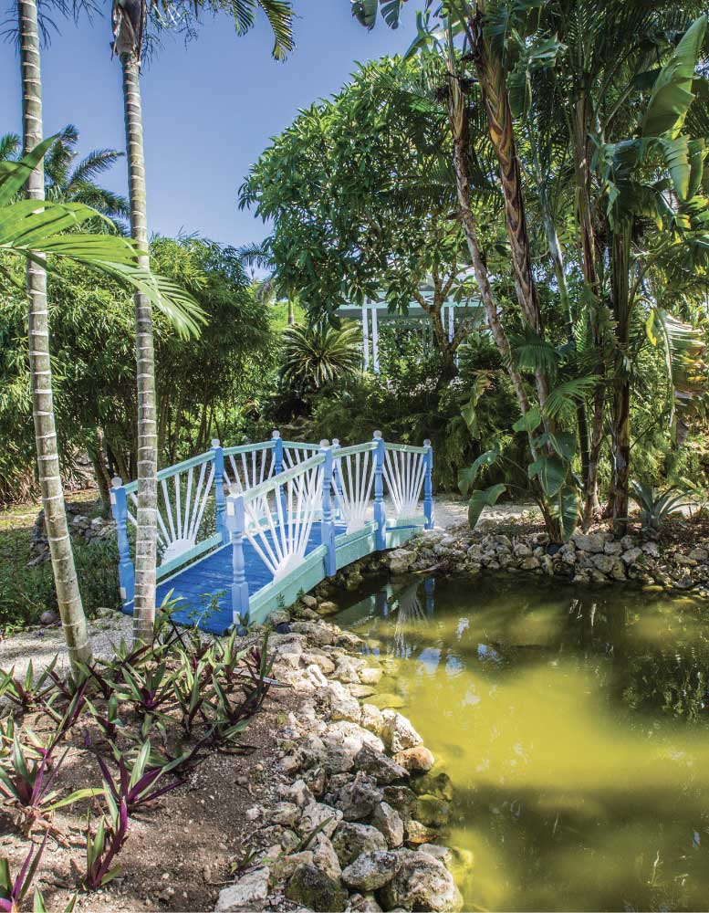 Flora & fauna at the Botanic Park - Welcome To Cayman