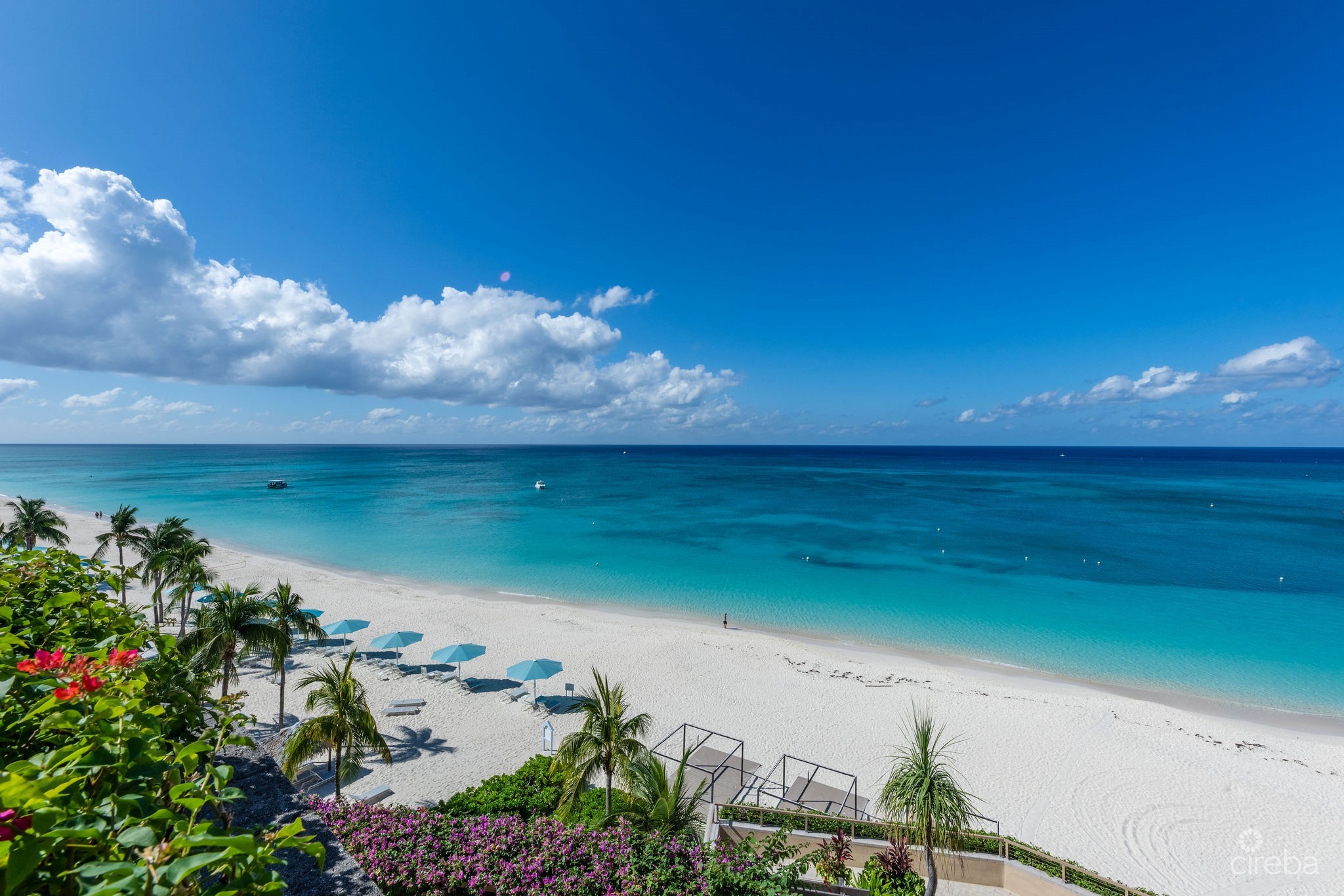 Harriet Lott – 1503 Property Group - Welcome To Cayman